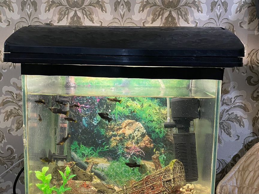 Аквариум в сборе