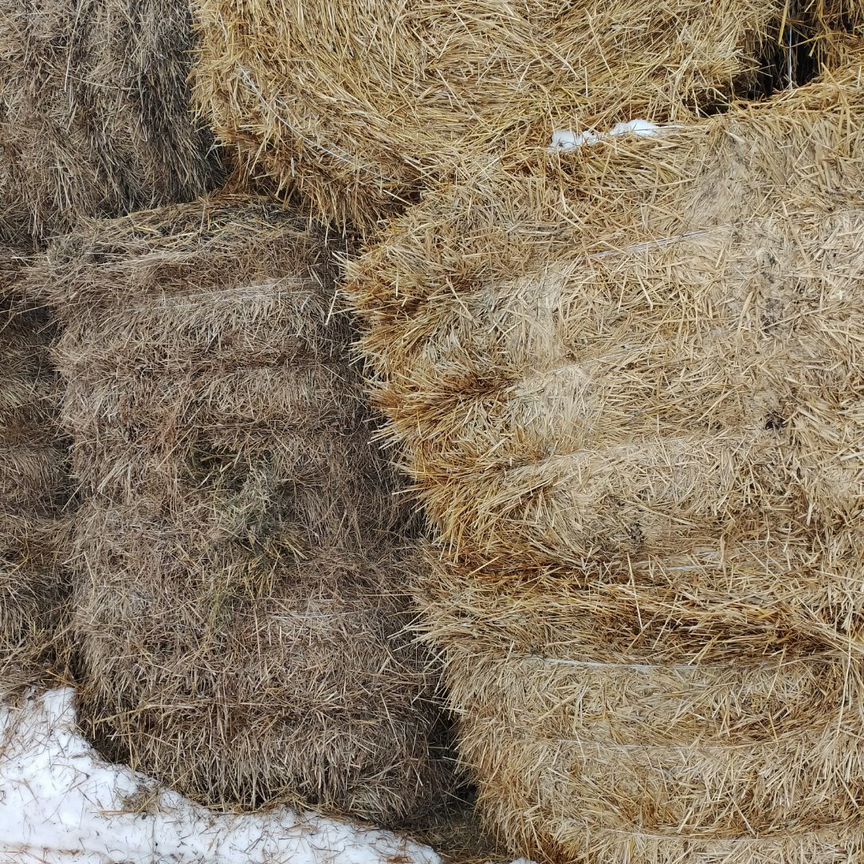 Солома в рулонах