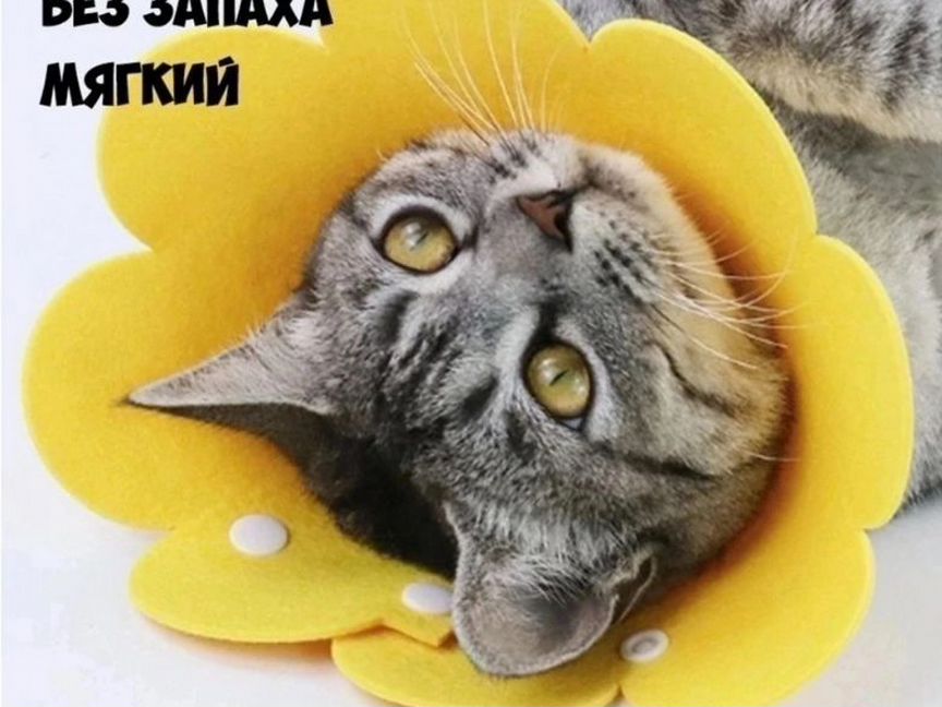 Защитный мягкий воротник для кошек новый