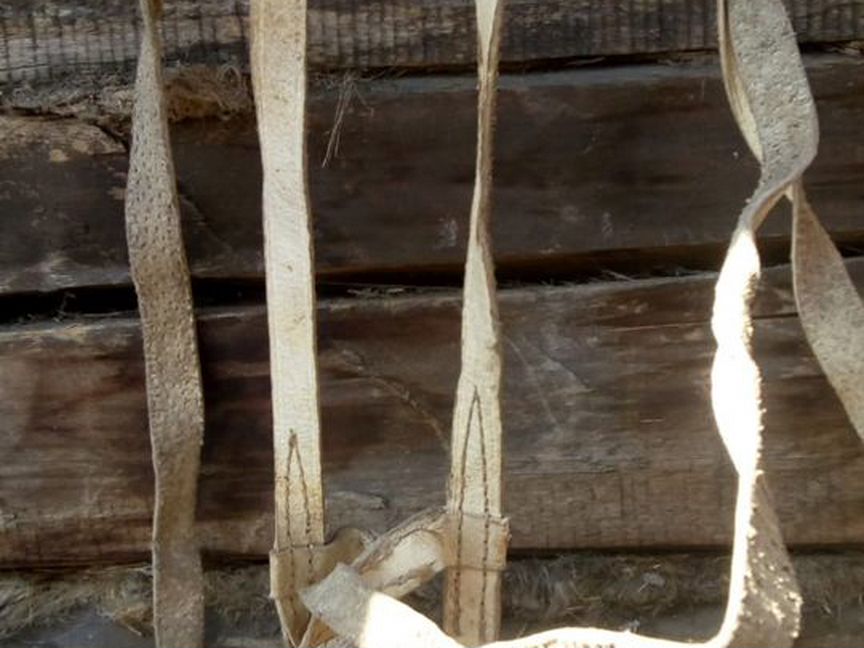 Узда для лошади