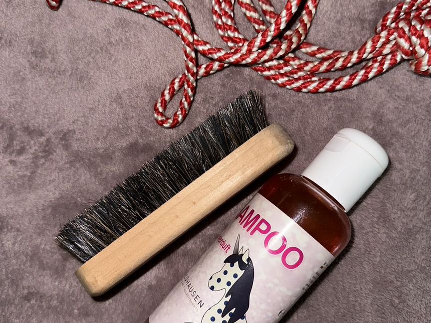 Уход за лошадью, аксессуары для лошади