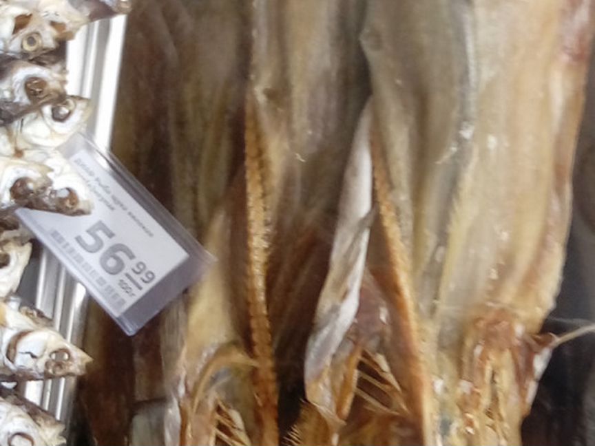 Отходы рыбного производства