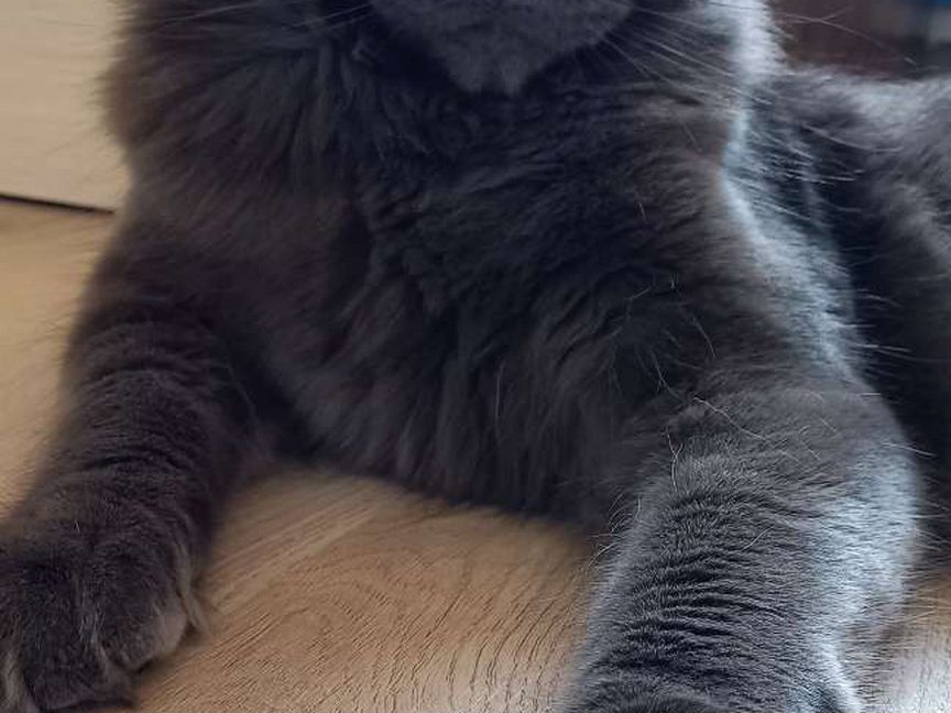 Мейн-кун вязка