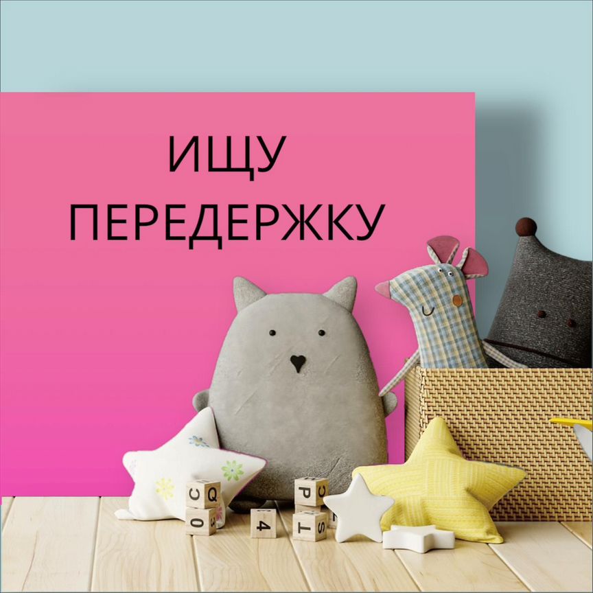 Ищем передержку кошке