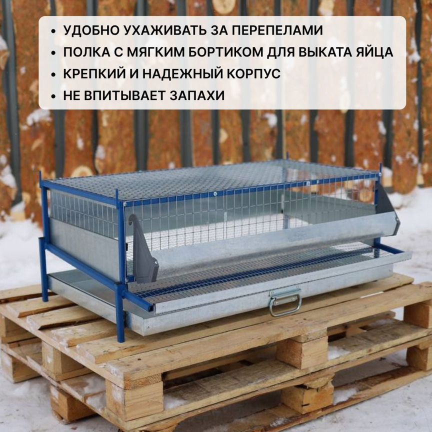 Клетка для перепелок
