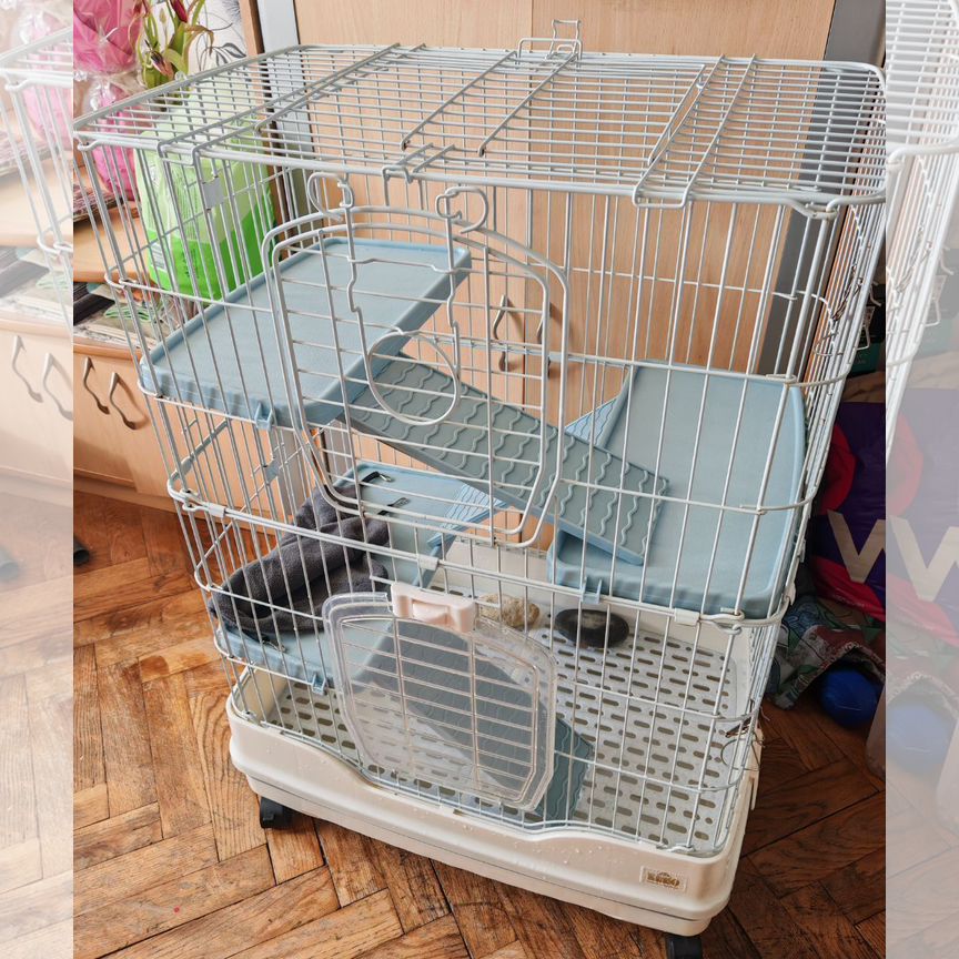 Клетка для грызунов очень большая