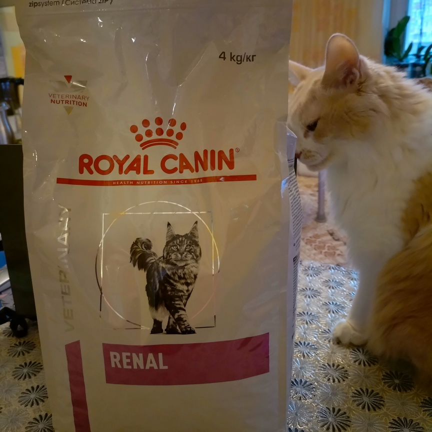 Royal Canin Renal 4 кг для кошек