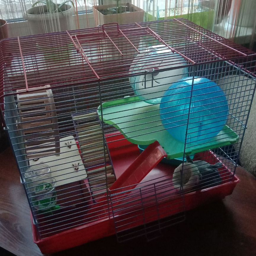 Клетка для грызунов