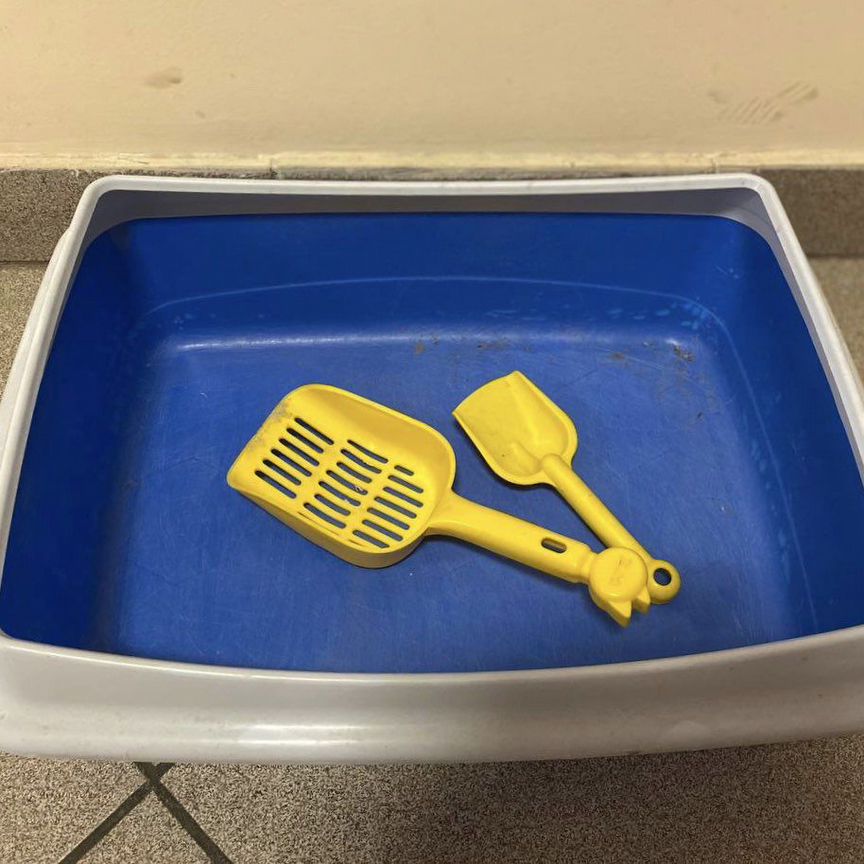 Кошачий туалет и наполнитель