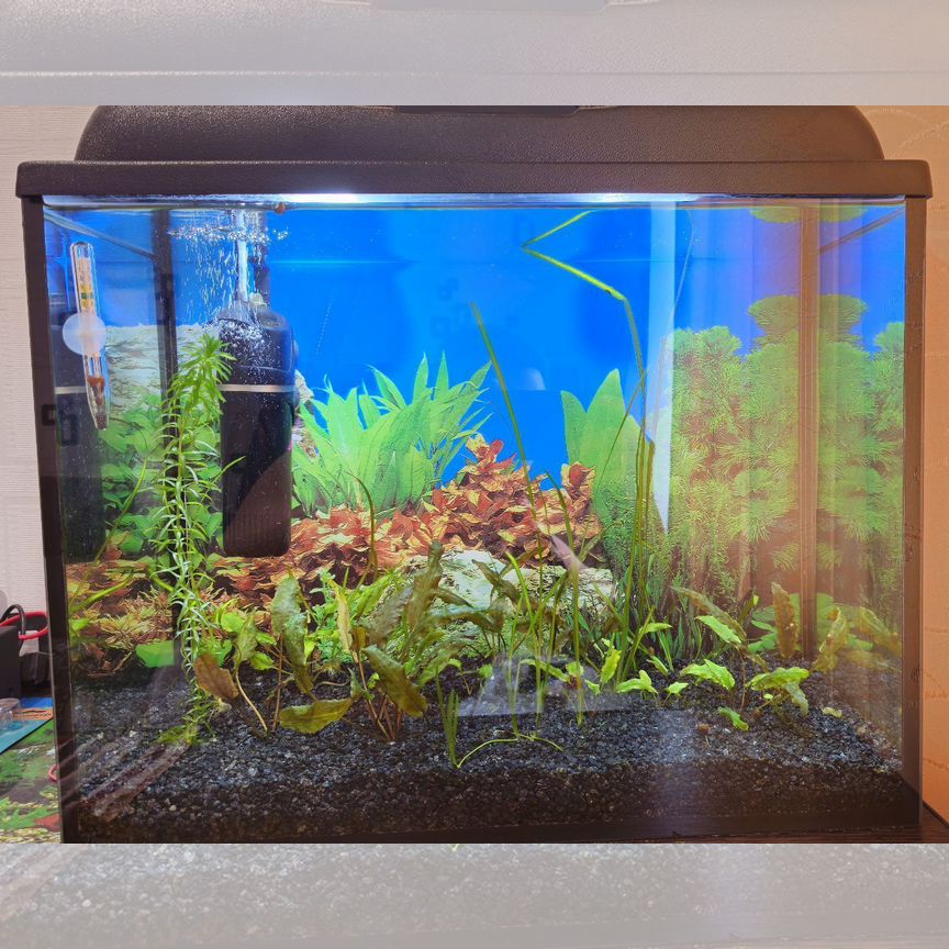 Аквариум 50 литров