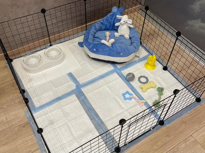 Загон для собак