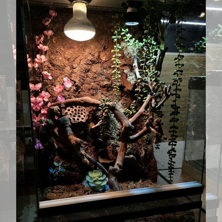 Вертикальный террариум 40*35*60 под ключ