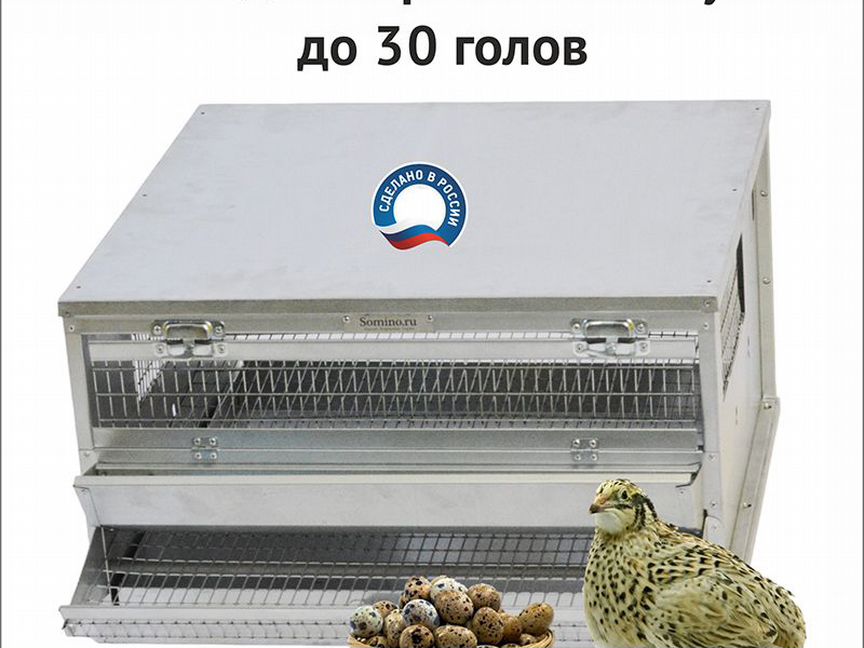 Клетка для перепелов-несушек Сомино 30 голов