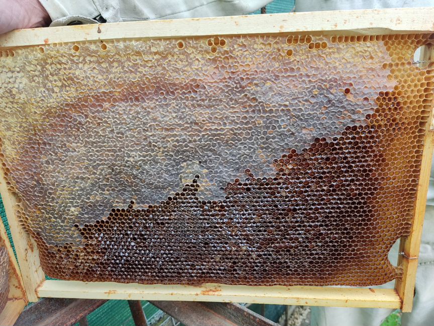 Рамки с мёдом