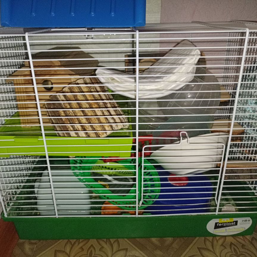 Клетка для хомяка большая