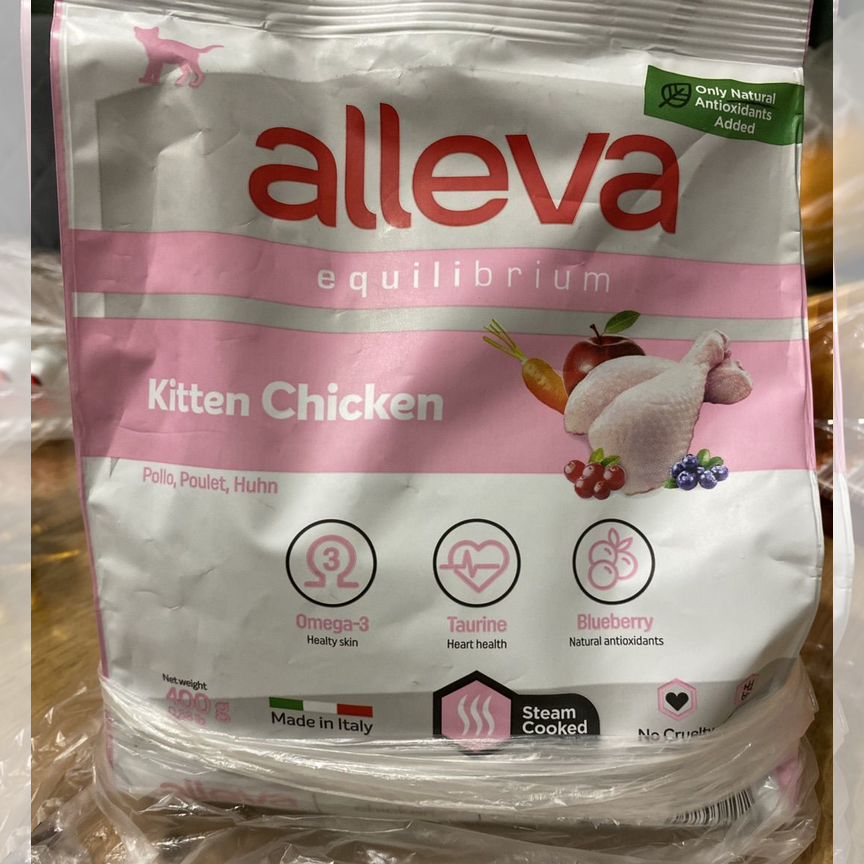 Корм для котят