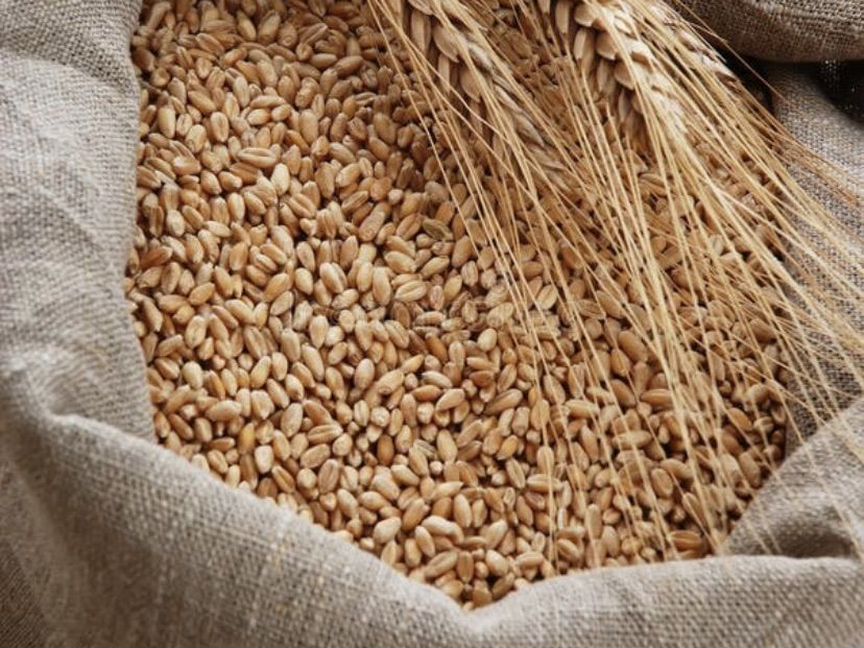 Пшеница мягкая по мешкам