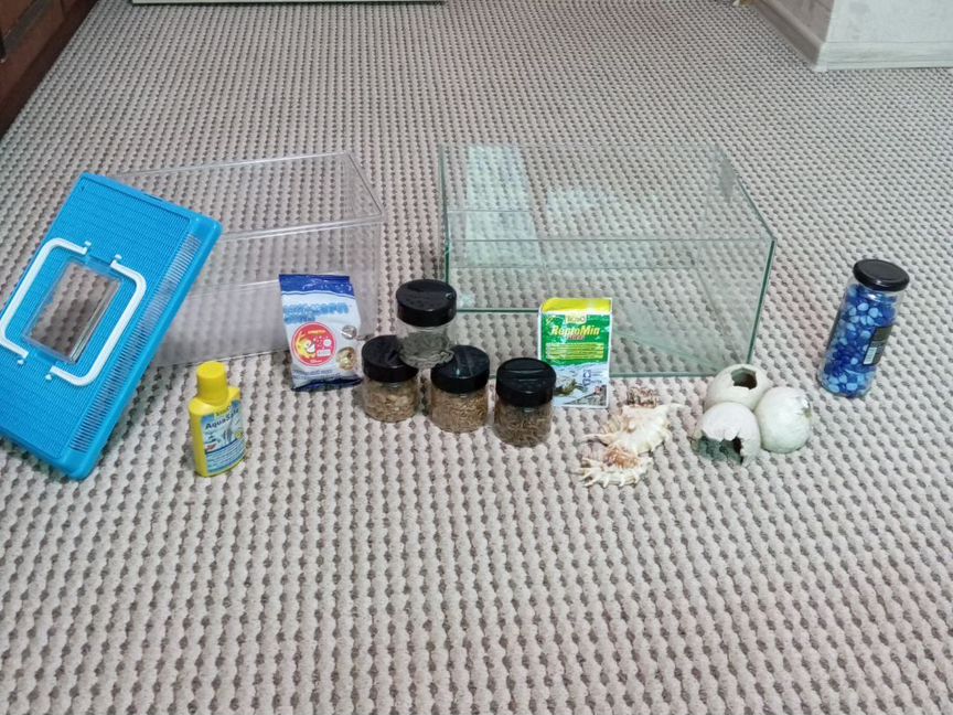 Аквариум для красноухой черепахи