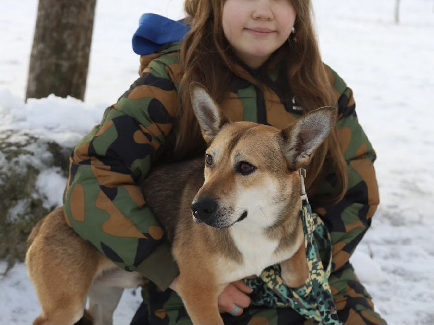 Некрупный пес Лисик