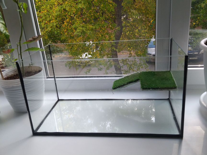 Террариум для красноухой черепахи