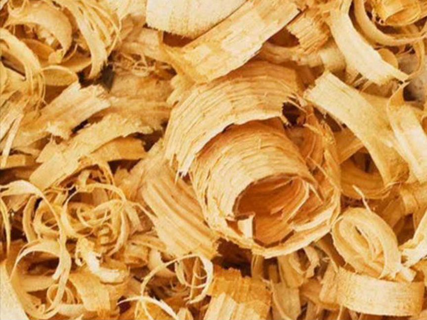 Стружка хвойных пород