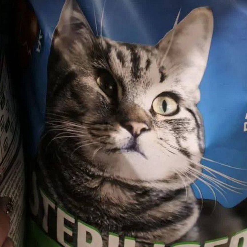 Корм брит для стерилизованных кошек