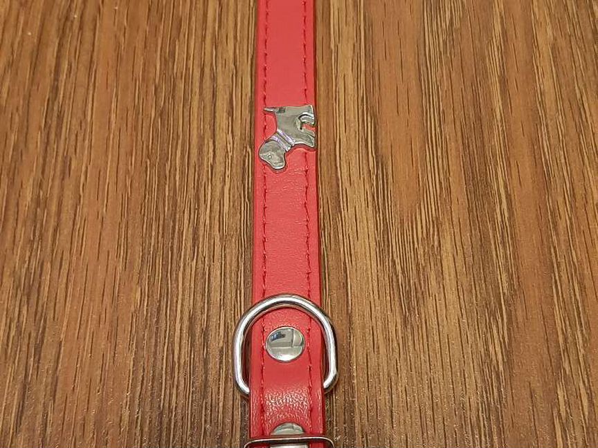 Новые ошейники для некрупных собачек
