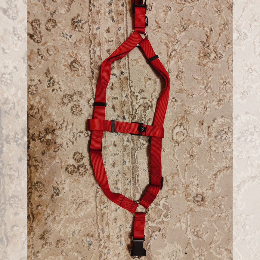 Шлейка для собаки