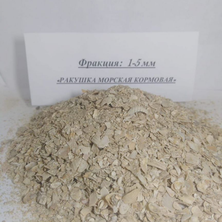 Ракушка морская кормовая