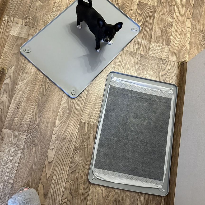 Силиконовый лоток под пеленку