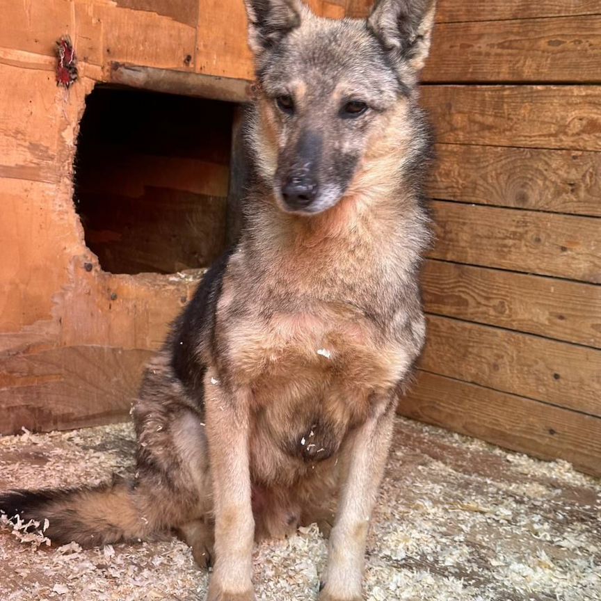 Нежный Тимка отчаился жить в приюте