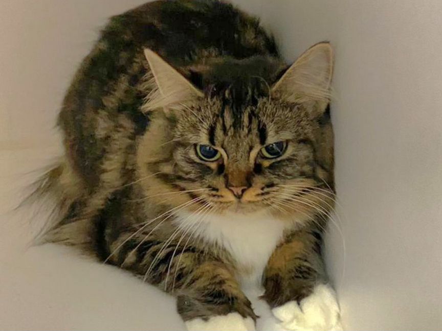 Никто не любит