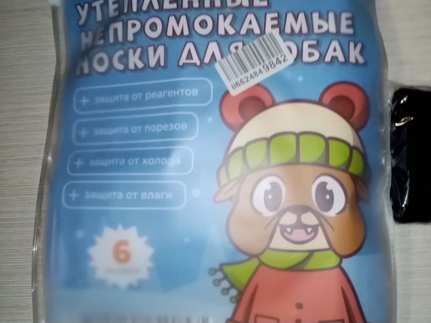 Носки на питбуля