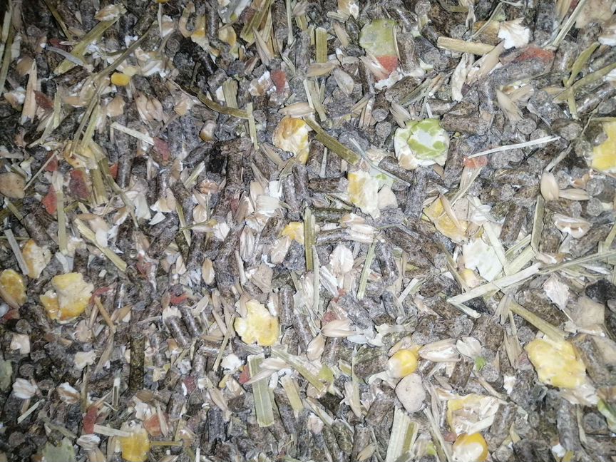 Корм для грызунов