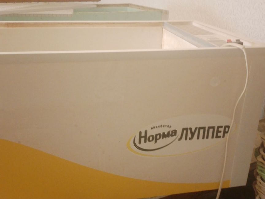 Инкубатор