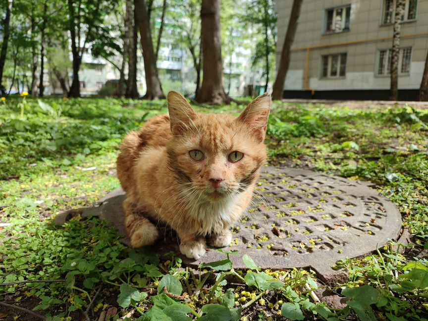 Я пережил зиму