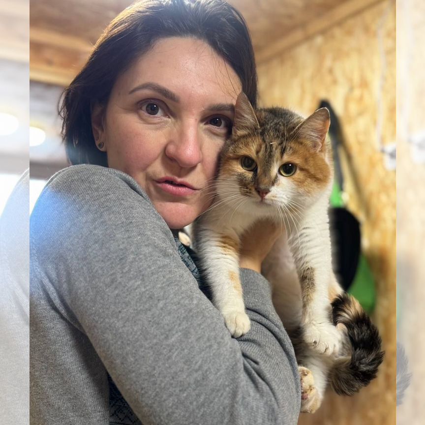 Взрослая, Девочка кошка в добрые руки