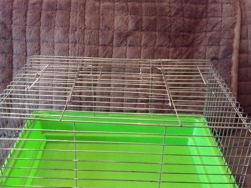 Продам клетку