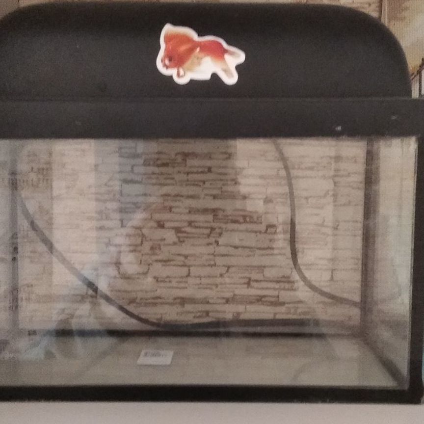 Аквариум для рыбок бу 5 литров