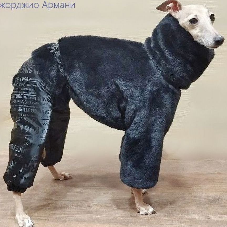 Essence of Love - Одежда для собак - левретки