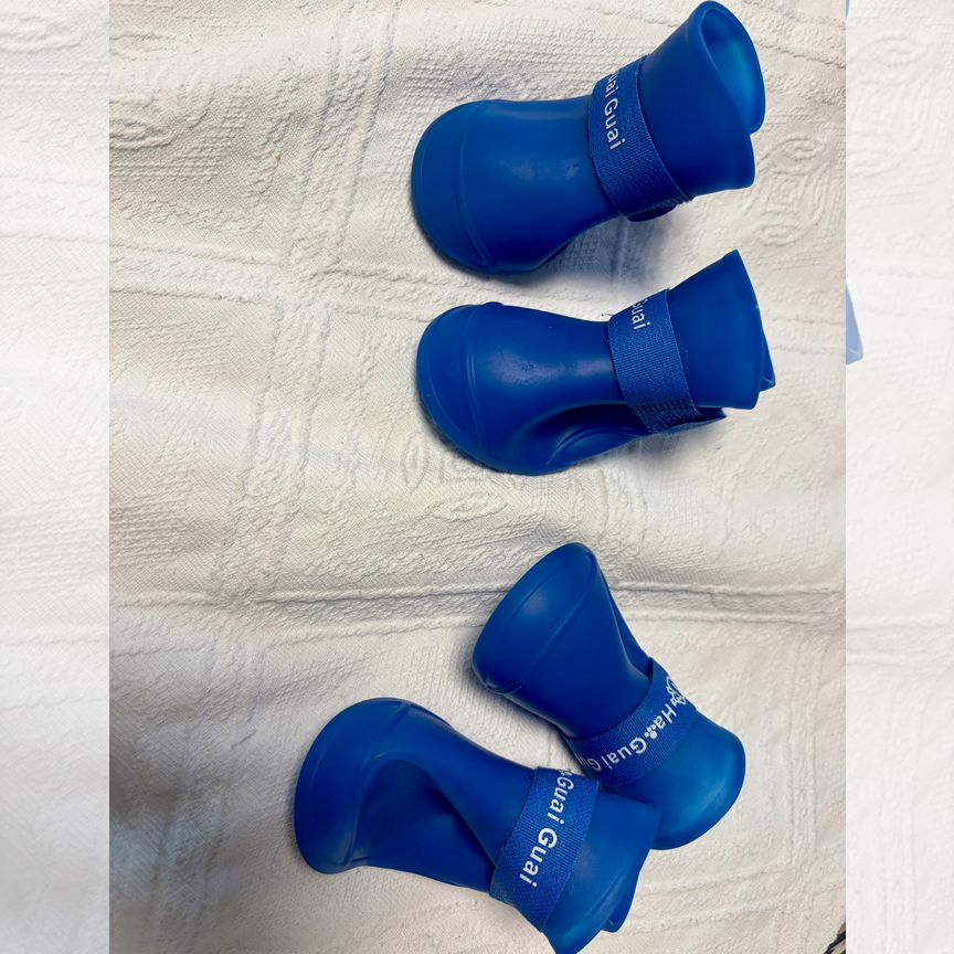 Ботинки для собак