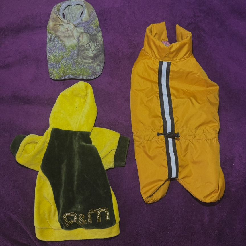 Одежда на маленькую собаку