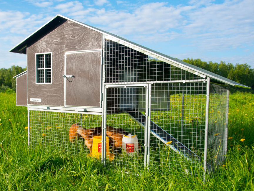 Курятник летний с выгулом