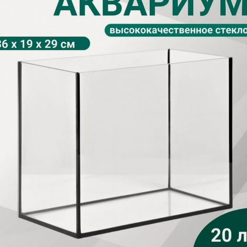 Аквариум