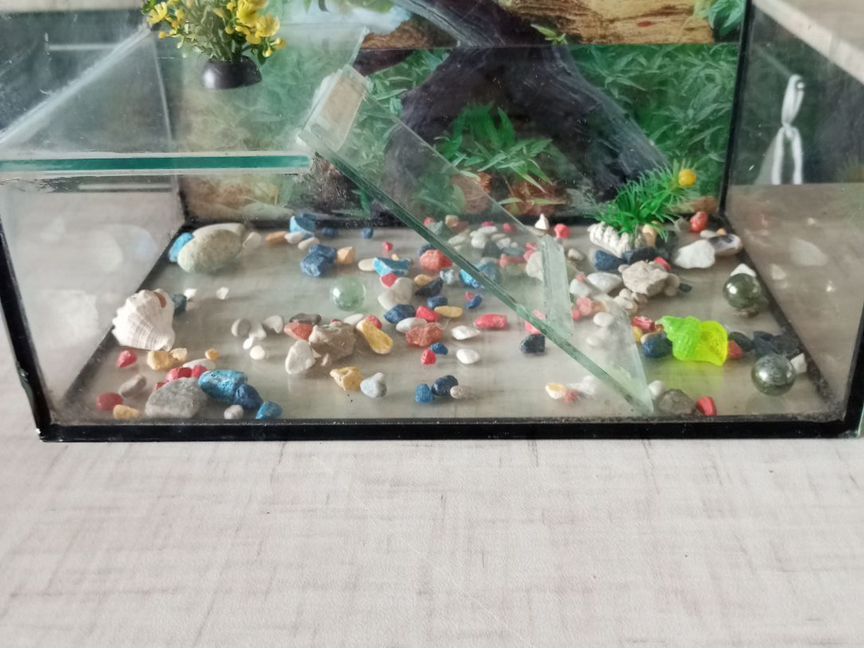 Аквариум 2 шт