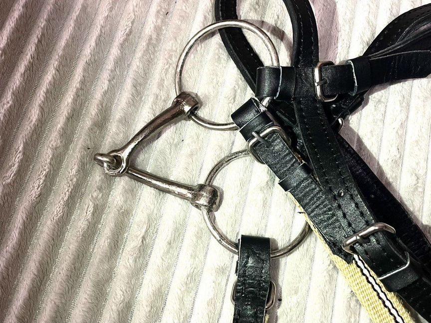 Уздечка спортивная (двойная кожа)