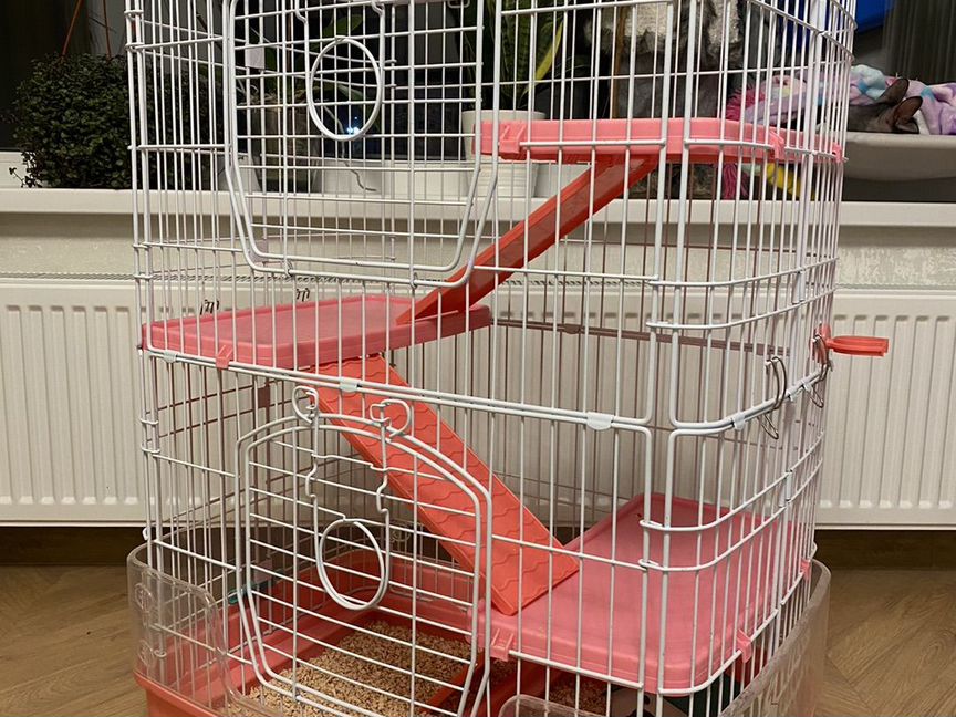 Клетка Kredo для крыс, шиншил, грызунов