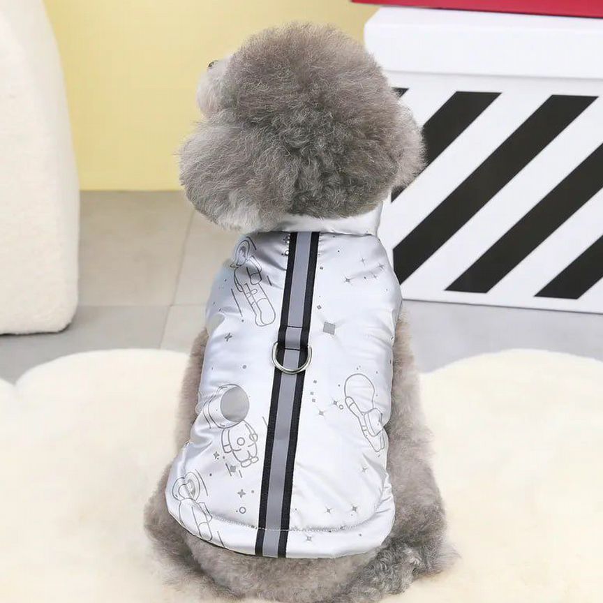 Костюм для маленькой собаки