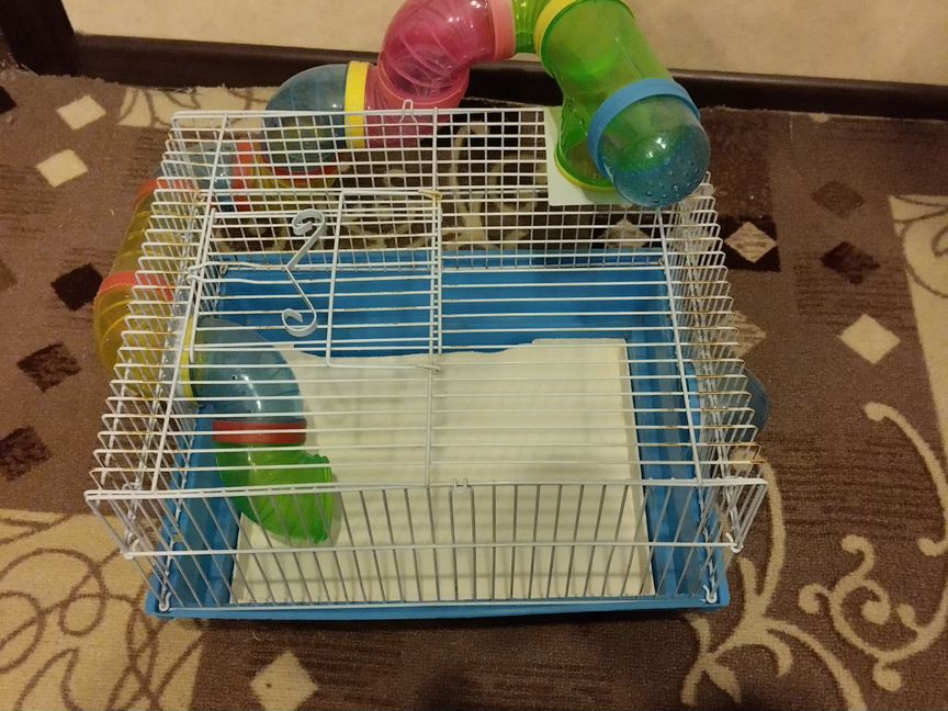 Клетка для грызунов