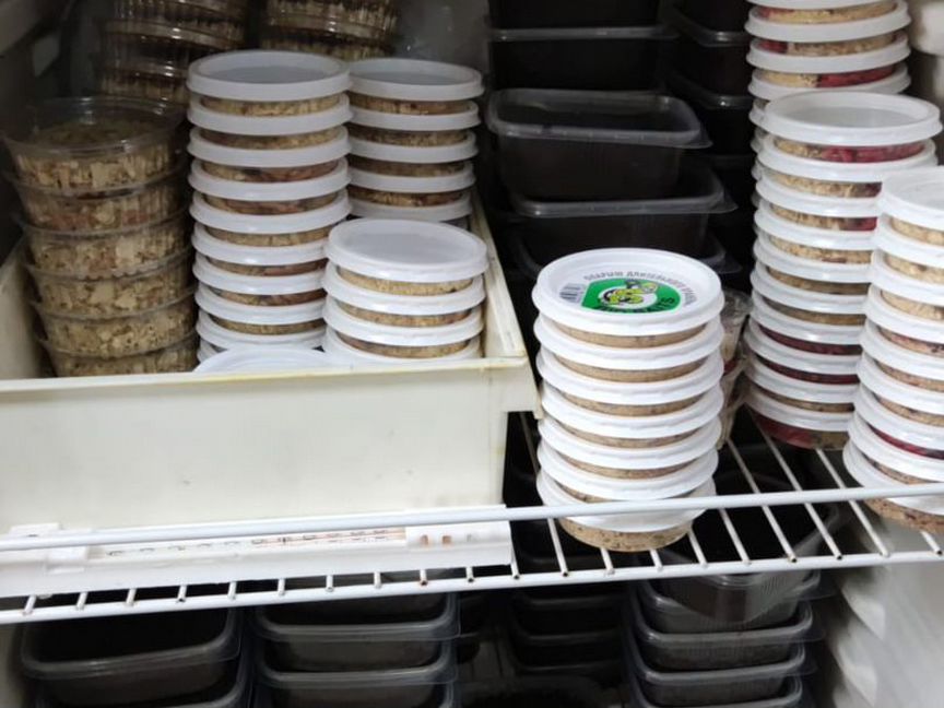 Червь,опарыш,выползок,болотник,дендробена